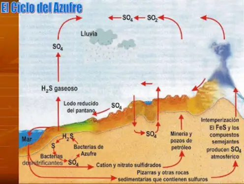 Conociendo el ciclo sedimentario