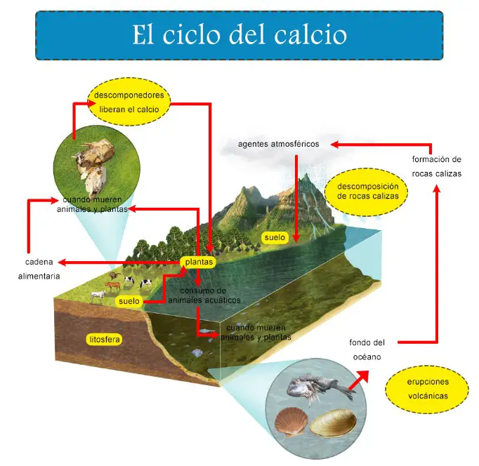 Conociendo el ciclo sedimentario